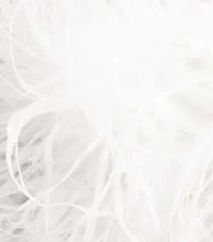 Oseree Feathered Mini Dress - Ivory