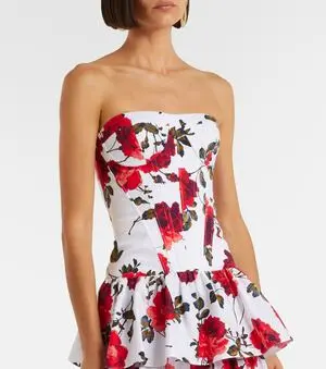 Carolina Herrera Floral Tiered Cotton-blend Corset Dress - Multicoloured