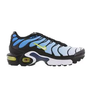 Nike Air Max Plus Gs Sneakers - Blue