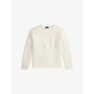 Polo Ralph Lauren Flag Pointelle-knit Cotton Jumper - White Multi