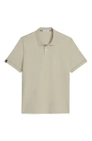 ASHWORTH GOLF Henry Polo - Moss