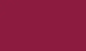 ASHWORTH GOLF Ivy Stripe Polo - Core Red