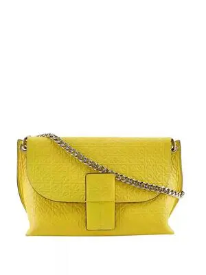 Loewe Chain Strap Cross Body Bags