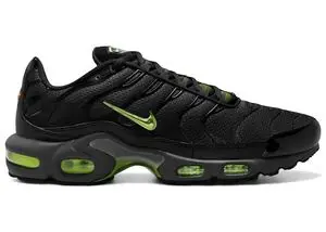 Nike Air Max Plus Sneakers