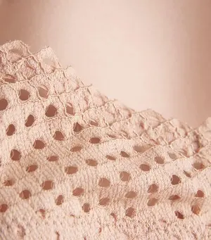 Wolford Romantic Net Push-up Bra