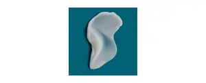 BRIOGEO Density Conditioner