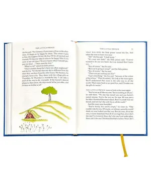 GRAPHIC IMAGE The Little Prince Leather Edition