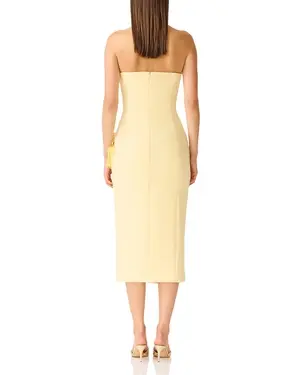 ELLIATT Ilana Floral Applique Midi Dress