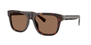 Dolce & Gabbana Sunglasses - Dark Brown