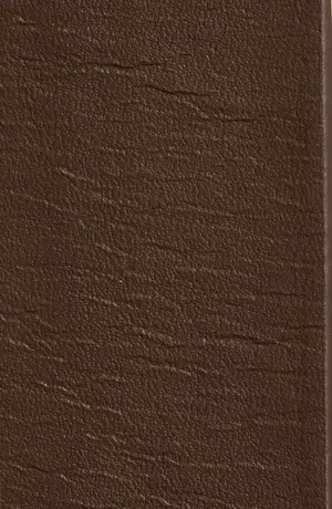 Vince Kaia Leather Belt - Date
