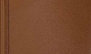 DEMELLIER The Siena Leather Bucket Bag - Tan