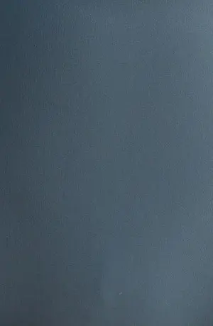 O'Neill Performance Surf Swim Shorts
