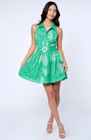 CIEBON Darcy Embroidered Fit & Flare Mini Dress