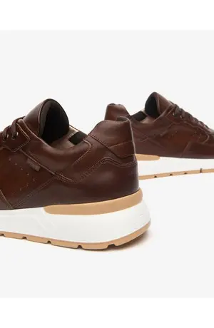 NEROGIARDINI Leather Low-top Sneaker - Chocolate