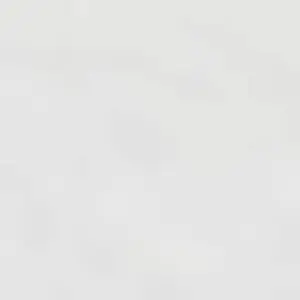 Alaïa Invisible Thong Flip Flops - Clear