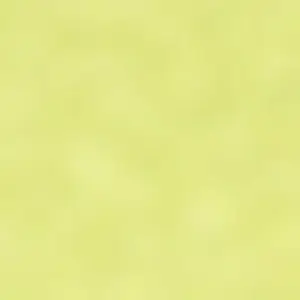 Alaïa Invisible Thong Flip Flops - Yellow