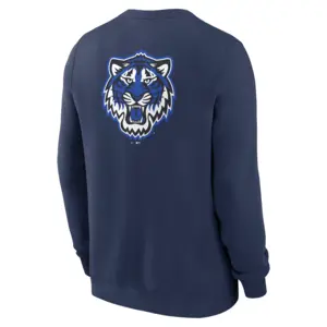Nike Detroit Tigers Mlb Pullover Crew - Blue