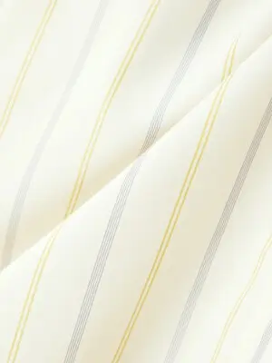 JAMIE HALLER Essential Striped Cotton-poplin Shirt - Neutrals
