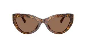 Dolce & Gabbana Cat-eye Sunglasses - Leo Transparent