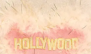 MAXBONE X Hollywood Jumper Dog Sweater