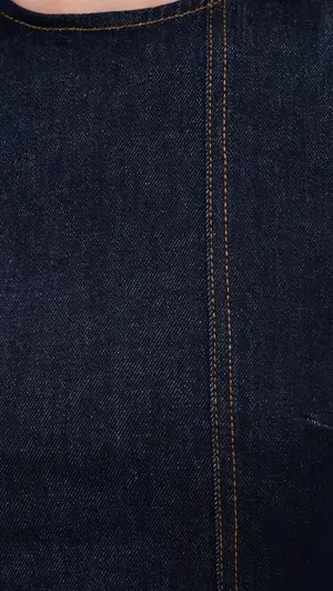 ALIGNE Liberty Denim Midi Dress