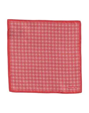 Zegna Scarf Silk