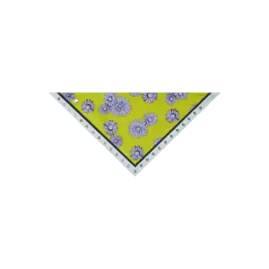 LANVIN Triangle Silk Scarf With Marguerite Motifs - Green