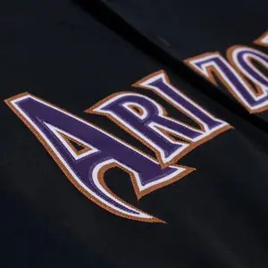 Mitchell & Ness Randy Johnson Arizona Diamondbacks 2001 Authentic Jersey