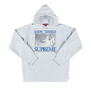 Supreme Know Thyself Hooded Sweatshirt - Grey