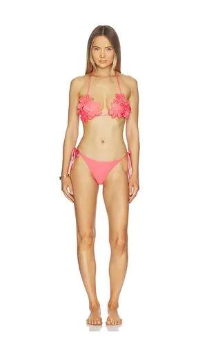BOAMAR Naos Bikini Bottom