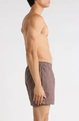 PACSUN Pinstriped Swim Trunks