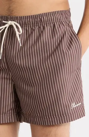 PACSUN Pinstriped Swim Trunks
