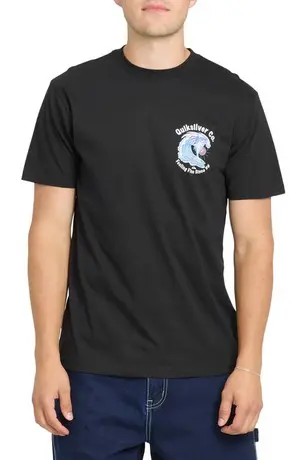Quiksilver Patriot Dolphin Mt0 Graphic T-shirt