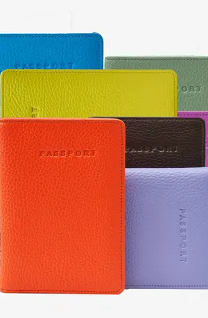 TUSK Ascot Passport Wallet - Azure