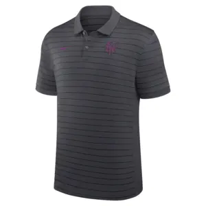 Nike Nike New York Mets City Connect Striped Victory Dri-FIT MLB Polo Grey
