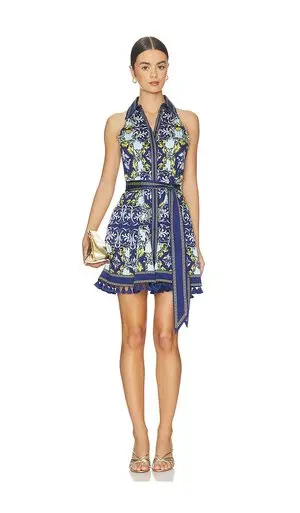 Alice + Olivia Mini Day Dresses