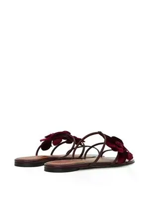 Zimmermann Orchid Floral-appliqué Sandals - Red