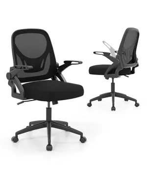GOUUN Ergonomic Office Chair With Lumbar Support And Flip-up Arms