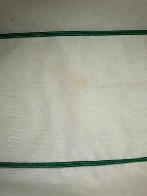 Goyard 2017 Saint Louis Gm Tote Bag - Green