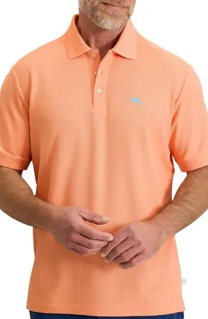 Tommy Bahama Button Down Polos For Men