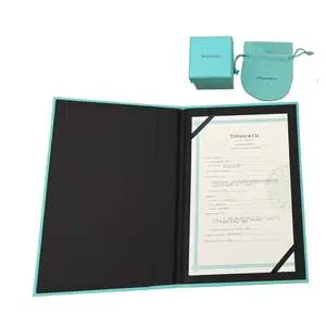 Tiffany & Co. 0.99 Ct Princess Diamond Novo Engagement Ring