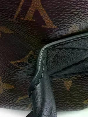 LOUIS VUITTON Monogram Palm Springs Backpack