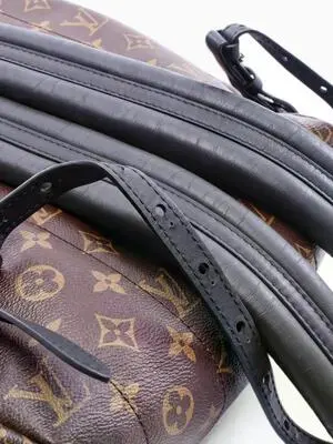 LOUIS VUITTON Monogram Palm Springs Backpack