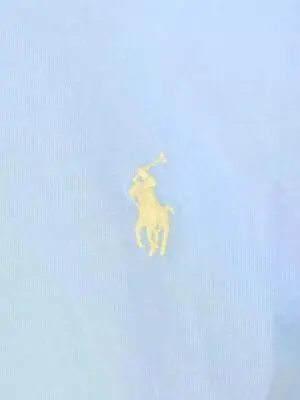 Polo Ralph Lauren Logo-embroidered T-shirt - Blue