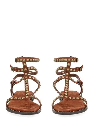 Ash Studded Gladiator Sandals - Brown