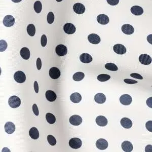 Miu Miu Printed Twill Scarf Bianco/navy
