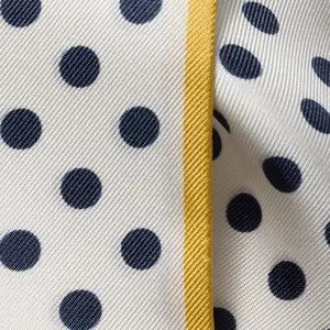 Miu Miu Printed Twill Scarf Bianco/navy