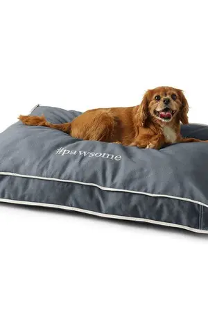LANDS' END Rectangular Canvas Dog Bed Cover