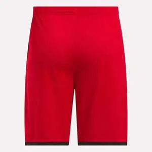 REEBOK Basketball Mesh Shorts With Vector Style