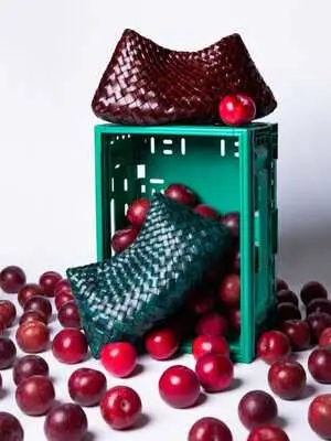 Dragon Diffusion Comporta Forest Woven Leather Clutch